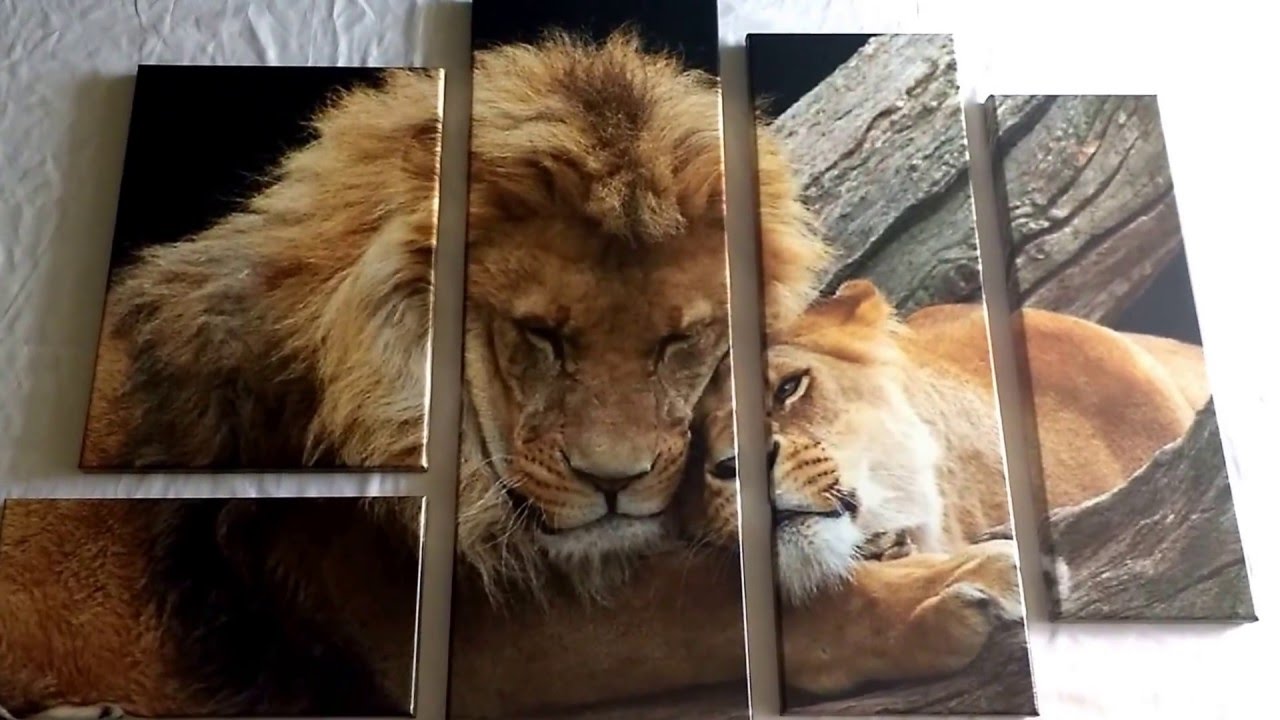 Eutisona Cuadros - Leones