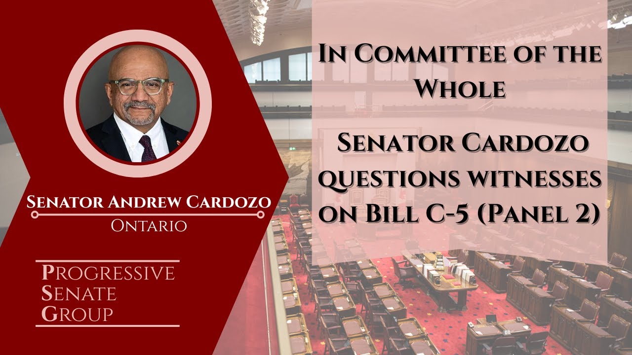 Senator Cardozo questions witnesses on Bill C-5 (Panel 2) - June 16, 2025 (English feed)