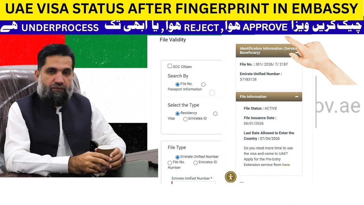 How To Check Visa Approved Or Not Through ICP Smart Service