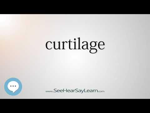 curtilage - Smart & Obscure English Words Defined 🗣🔊
