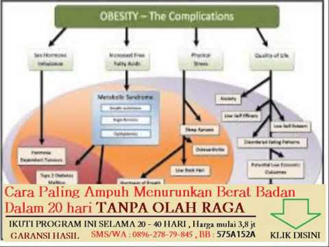 cara menurunkan asam lemak bebas pada minyak sawit