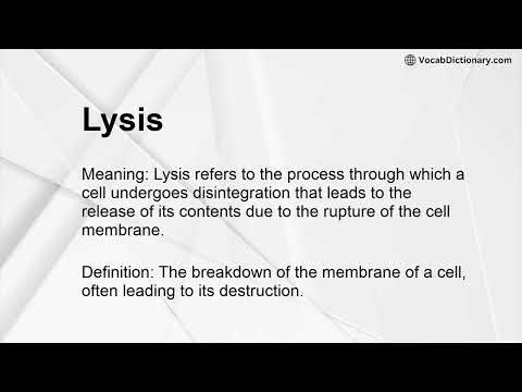 Lysis Meaning