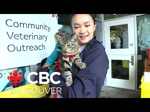 community-veterinary-outreach | CharityProfile | Donate Online