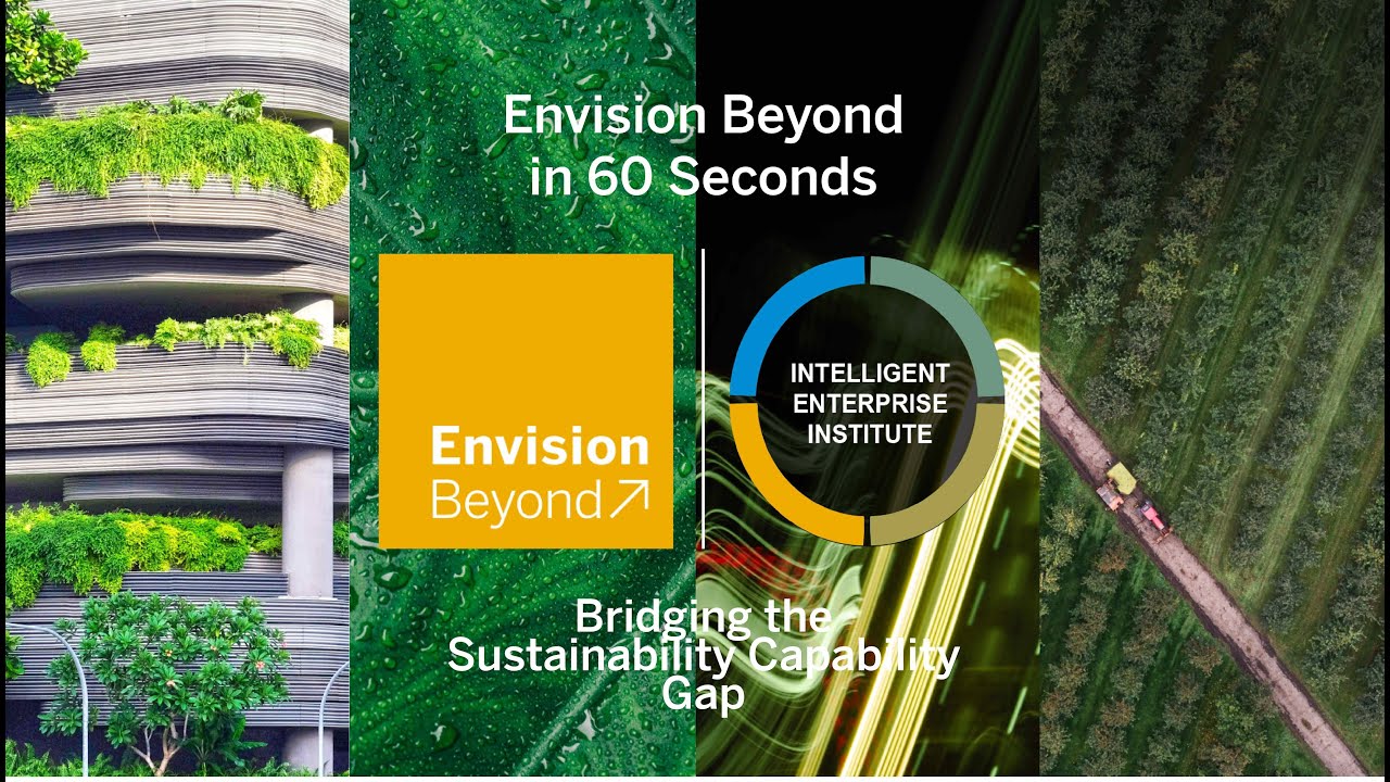 Envision Beyond in 60 Seconds - Bridging the Sustainability Capability Gap