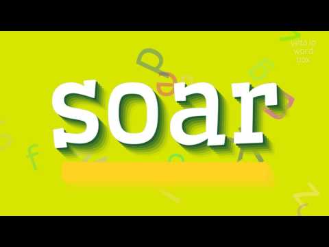 How to say "soar"! (High Quality Voices)