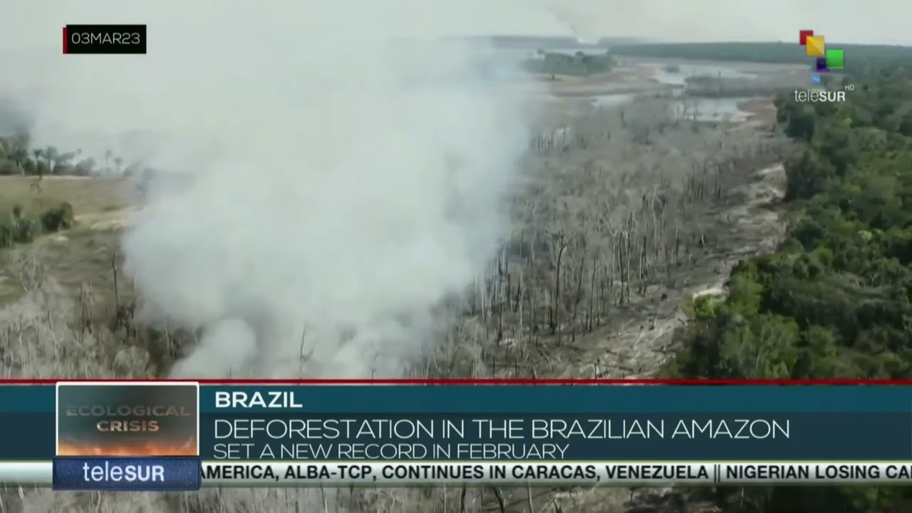 Brazil: Record deforestation continues in Amazonia