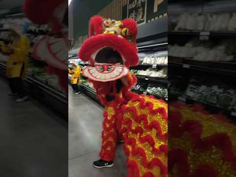Lions Roaming New Asian Food Center #eastbrunseuck #newjersey