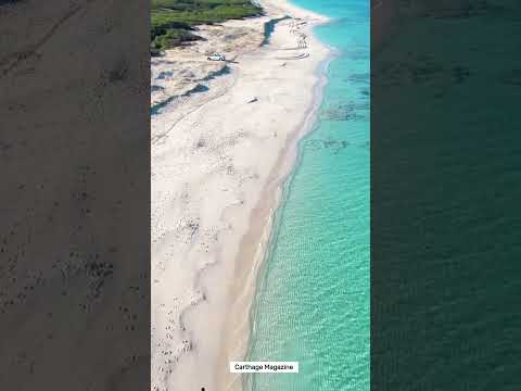 ππA hidden gem in El Mahdia, Tunisia πΉπ³π