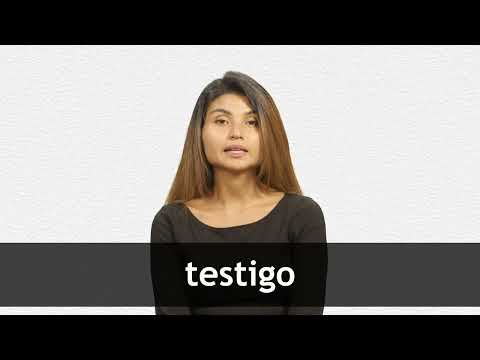 English Translation of “TESTIGO” | Collins Spanish-English Dictionary