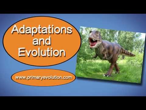 Change over Time (Evolve) — Characteristics of Life - Expii