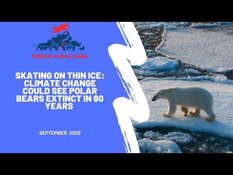 Polar bears need your help now!