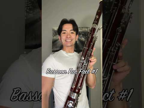 what’s the range of a bassoon???