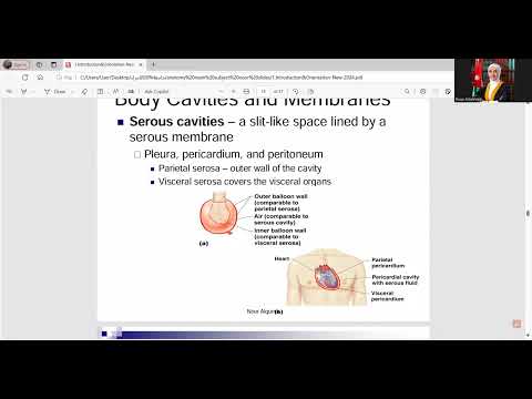 Serous membrane ( Medical term )