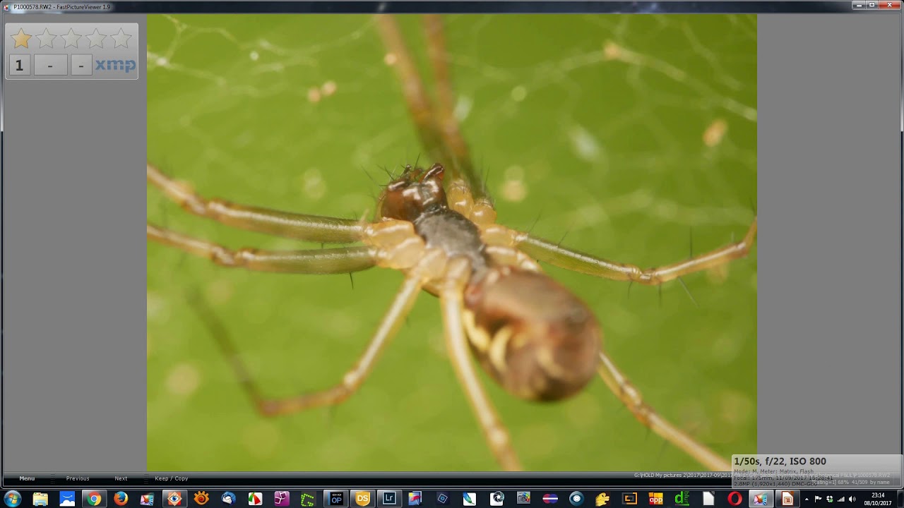 Processing software and workflow October 2017