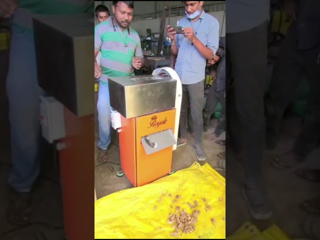 Ginger Cutting Machine - Fully Automatic Ginger Cutting Conveyor Type ...