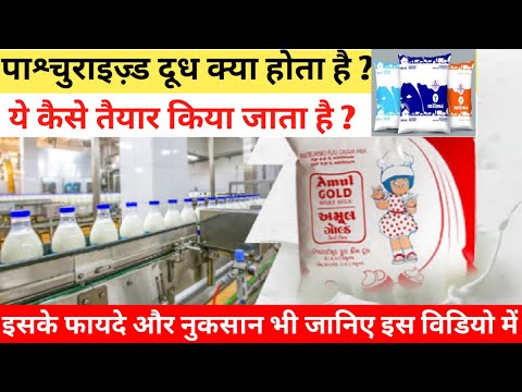 Pasteurized milk kya hota hai|Pasteurized milk process|Pasteurization