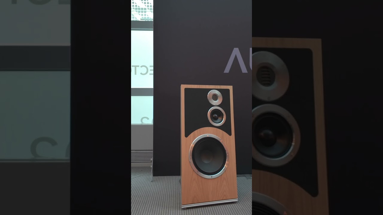 Audiovector Speakers at the Munich High End Show 2024