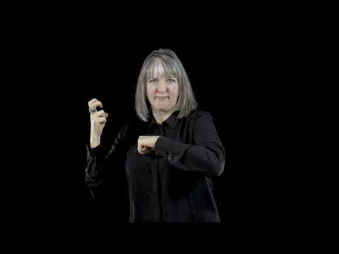American Sign Language ASL Video Dictionary - stolen