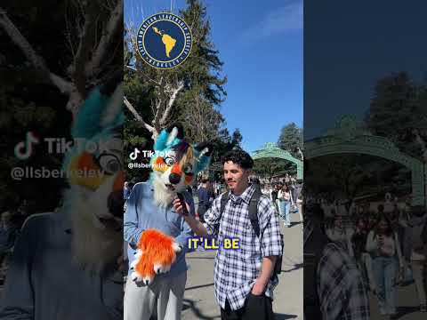 Catch you in Professor DeNero’s class! 🐻👀 @LLS #ucberkeley #college #furry #fursuit #ucberkeley