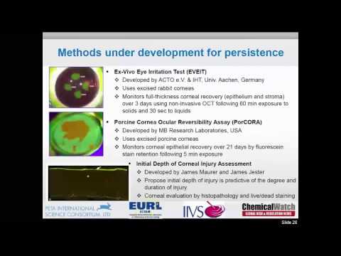 Webinar video 3 eye damage irritation