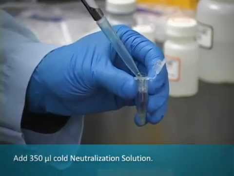 PureYield™ Plasmid Miniprep -- Promega