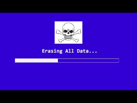 Computer Virus Screen