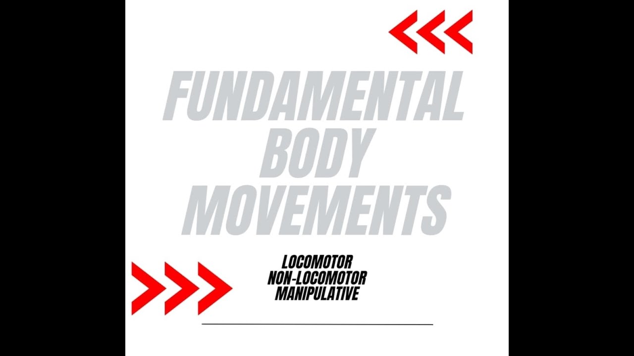 Understanding Fundamental Body Movements: A Guide to Locomotor, Non ...