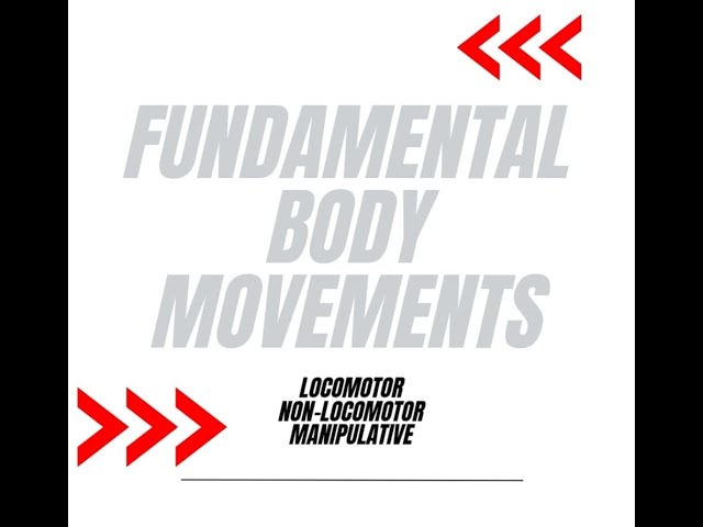 Understanding Fundamental Body Movements: A Guide to Locomotor, Non ...
