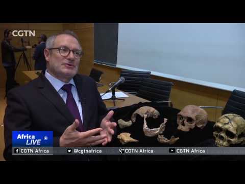 Fossil remains found in Morocco are 100,000 years older than other Homo sapien remains