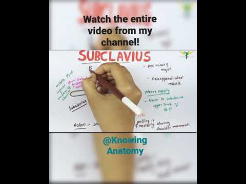 Muscle - Subclavius | origin | insertion | nerve supply | Actions
