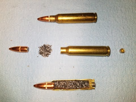 Basic Parts and Function of a Firearm Cartridge