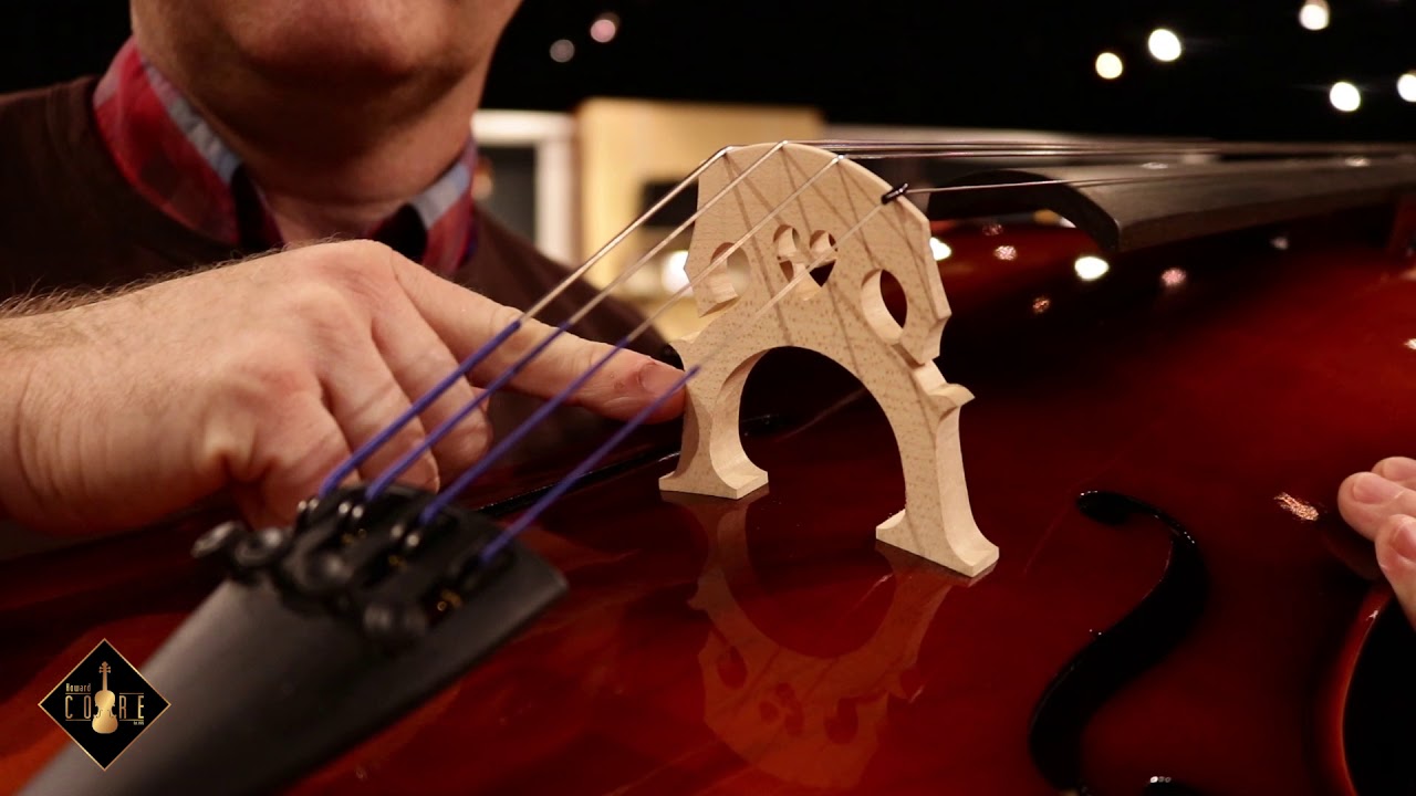 Core Academy A30 Cello