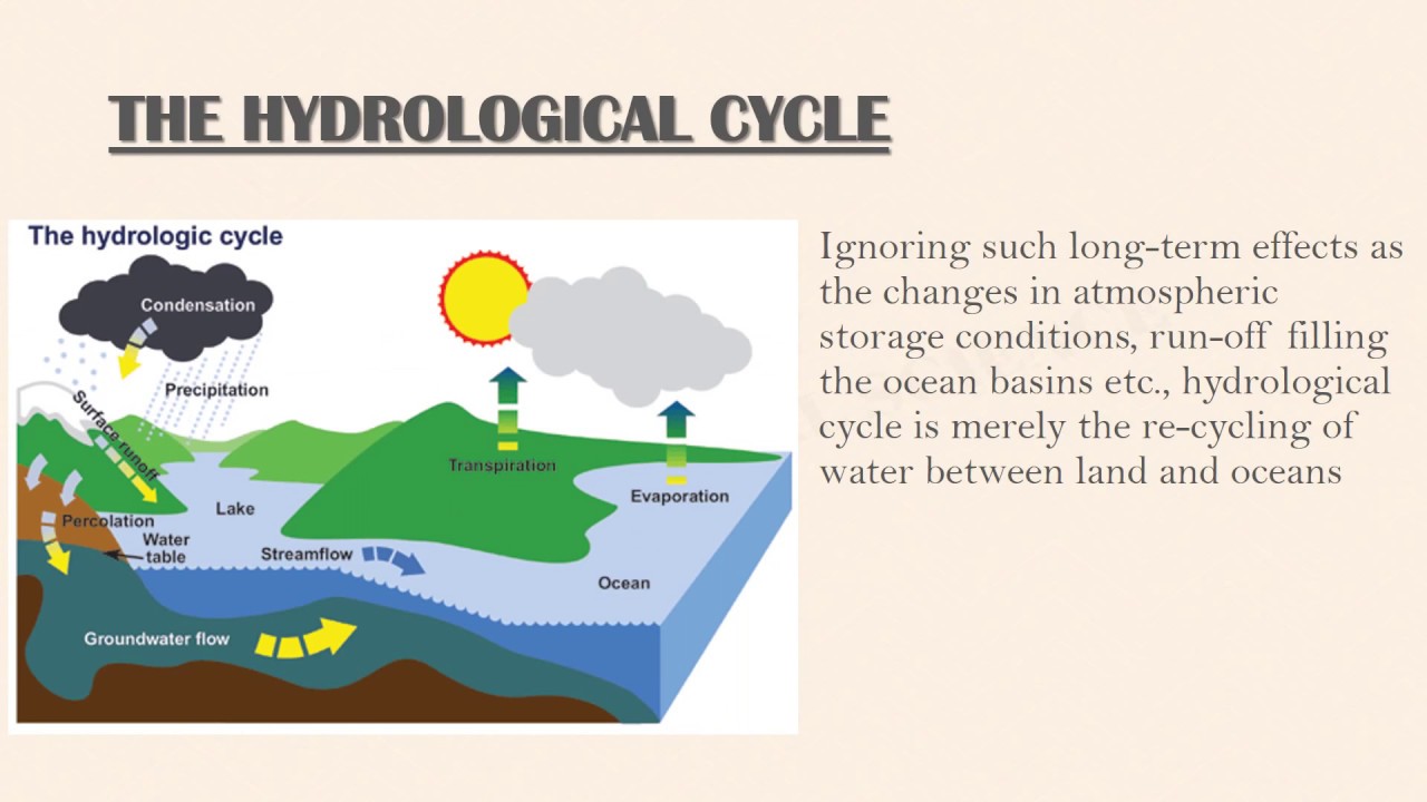 Forest and water resources PPT presentation, Environmental science.