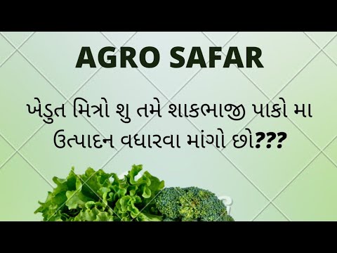 Amrit Ras at Best Price in India