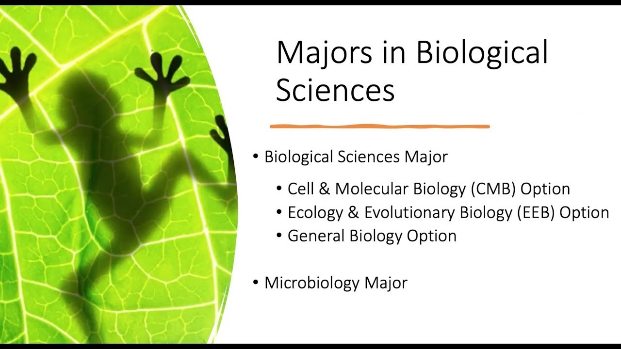 Biological Sciences Major Overview