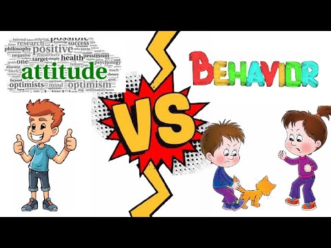 Attitude vs Behavior