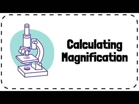 Magnification Formula Video Lecture - Biology for GCSE/IGCSE - Class 10