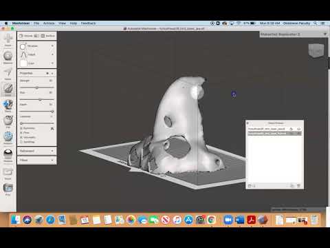 Meshmixer Tutorial