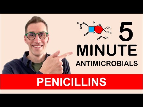 Penicillins - 5 Minute Antimicrobials