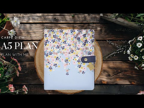 A5 PLAN WITH ME WEEKLY PLAN- CARPE DIEM- PRAYERFUL PLANNER INSERTS- FAITH PLAN SCRUPTURE WRITING