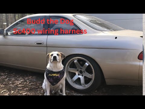 Budd the dogs loom, SC400 Haltech short version