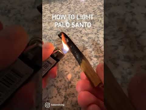 How to light Palo Santo for smudging and cleansing your space