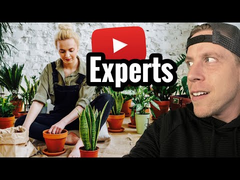 Top 5 Houseplant Experts on YouTube - Hangout