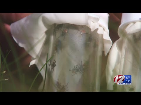 Expert weighs in on possible link between climate change and Lyme Disease