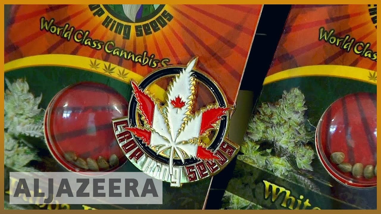 🇨🇦 Canada becomes second country to legalise recreational cannabis | Al Jazeera English