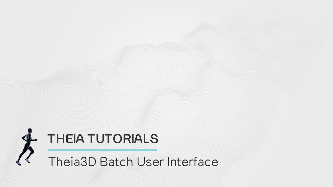 Theia3D Batch User Interface