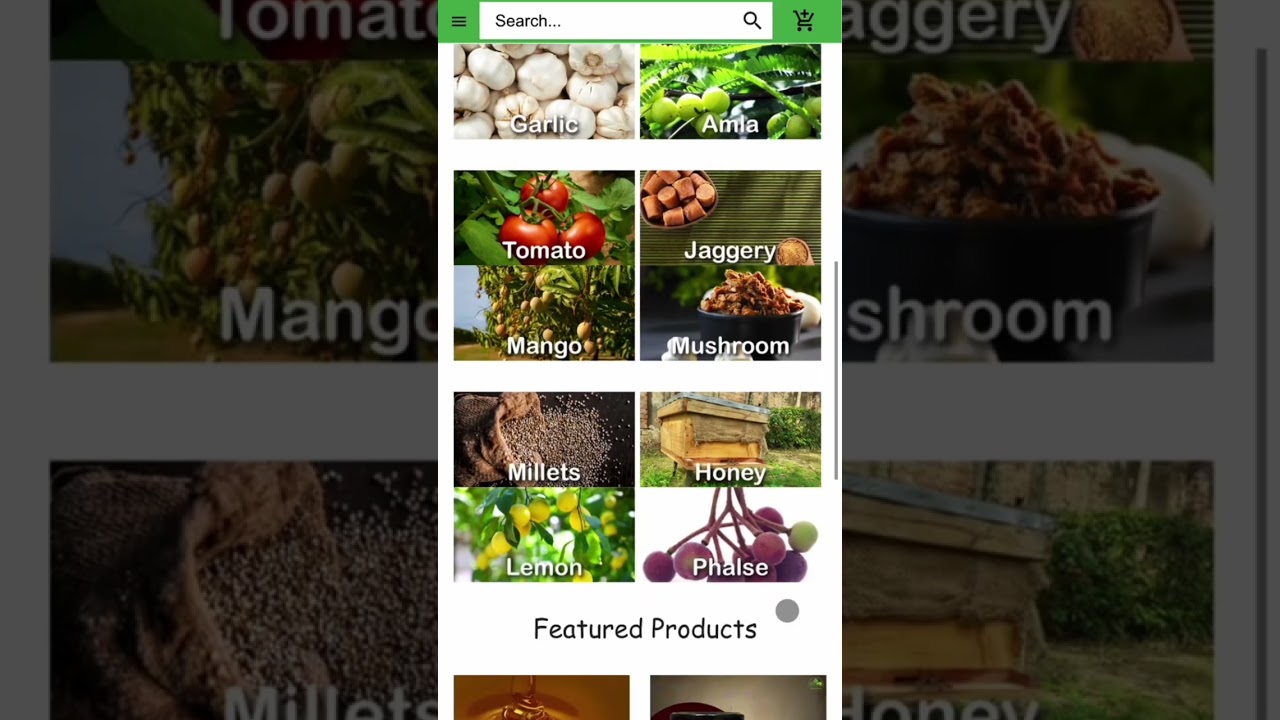 Build A Ecommerce Store in Just 10 Minutes with dSPEEDUp