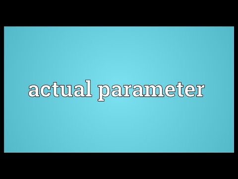 Actual parameter Meaning