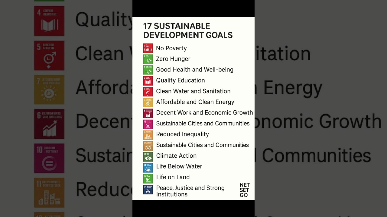 🌍 17 Sustainable Development Goals (SDGs) Explained | United Nations Global Goals 2030
