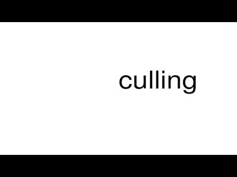 How to pronounce culling